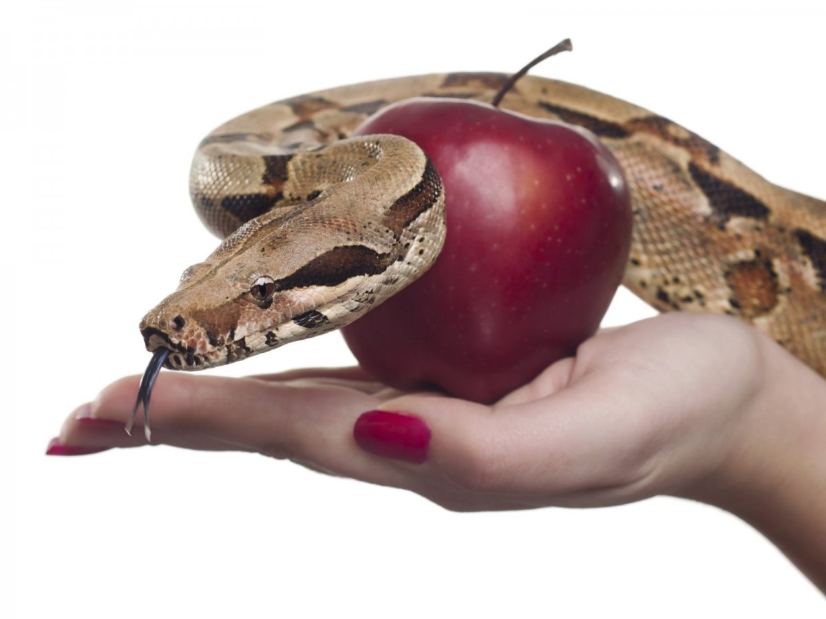 The Beginning of Sin – Martin's Mercurial Musings